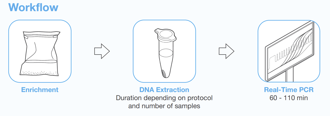 Bryggeri-revolution: Snabba PCR-test för ölspoilers